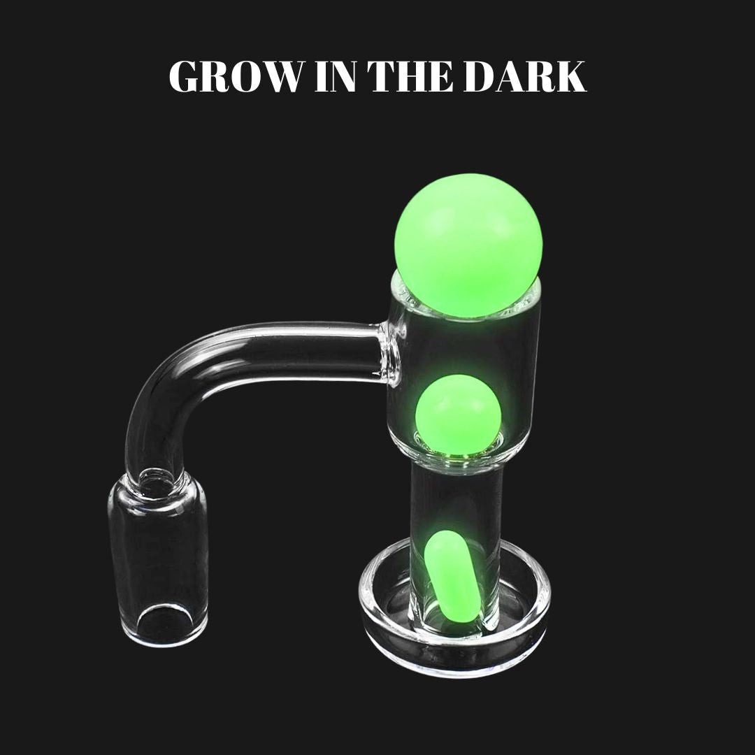 Quartz Terp Slurpers Banger With Glass Bead Set – HERBBOX India